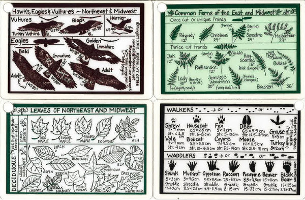 Nature ID Card – Green Mountain Club